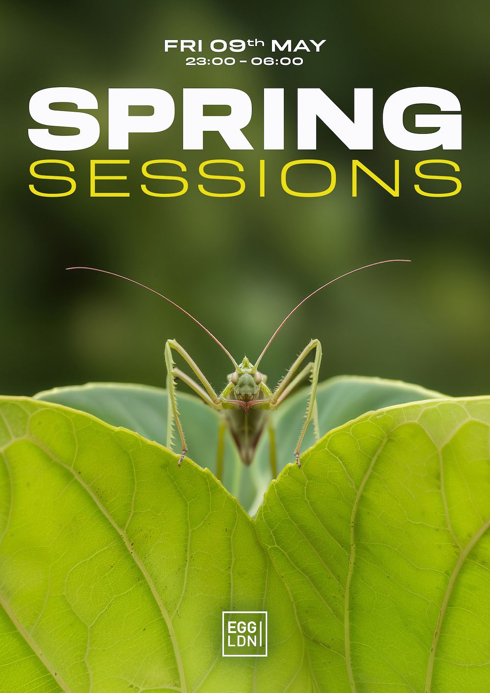 Egg LDN Pres: Spring Sessions Tickets at Egg London Nightclub in London by Egg London | Tixr