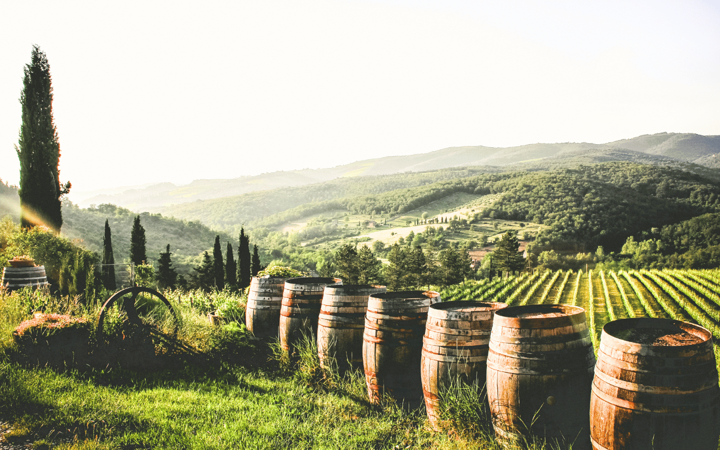 Wine Makers Dinner Tickets at Deerfoot Inn & Casino in Calgary by ...