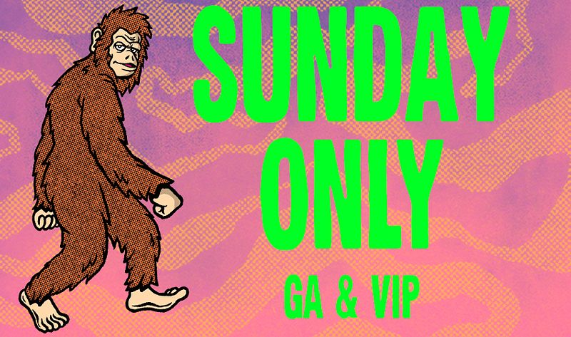 Sundown Alaska Music & Arts Festival 2024 Tickets at Cuddy Family ...