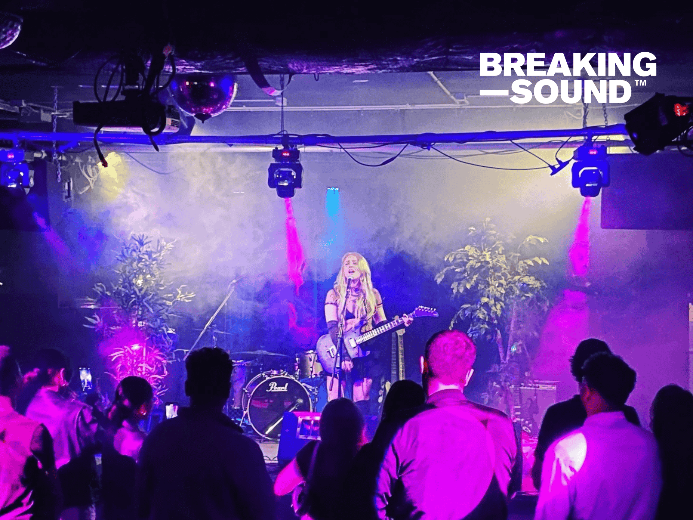 Breaking Sound Canada at Supermarket Bar 01/11 Tickets at Supermarket ...