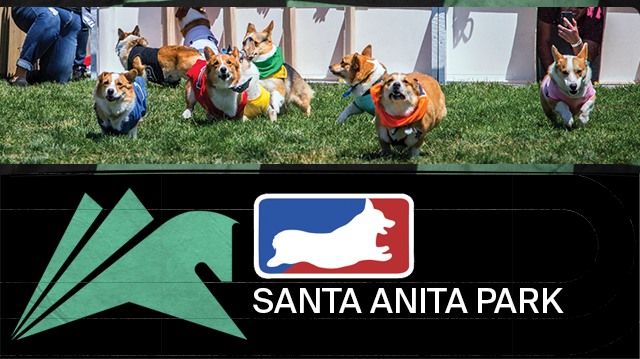 Corgi Nationals Tickets at Santa Anita Park in Arcadia by Santa Anita ...