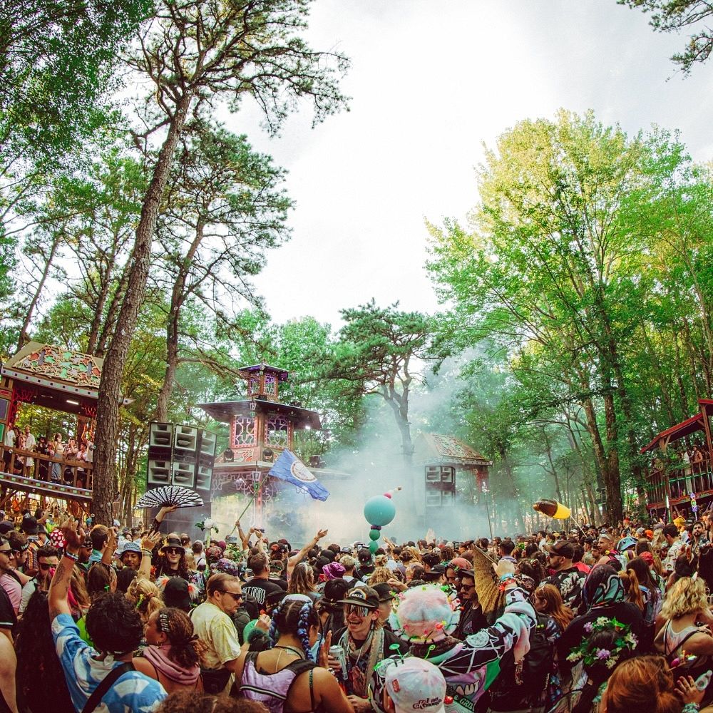 Elements Music & Arts Festival 2025 Tickets at Woodlands Outside of ...