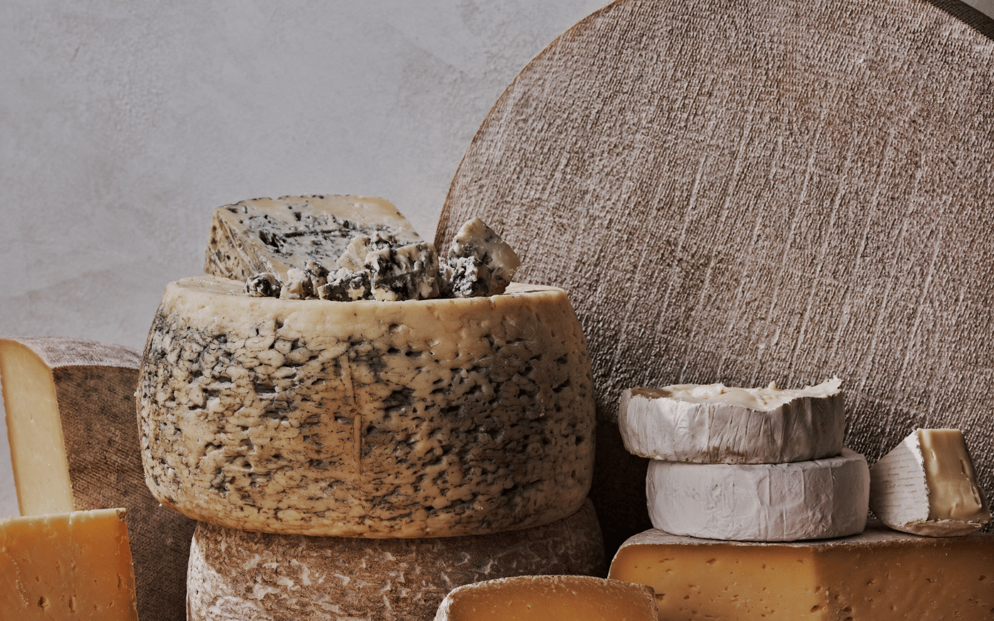 Cheese Please with Sweet Grass Dairy Tickets at The Workshop in Fort ...