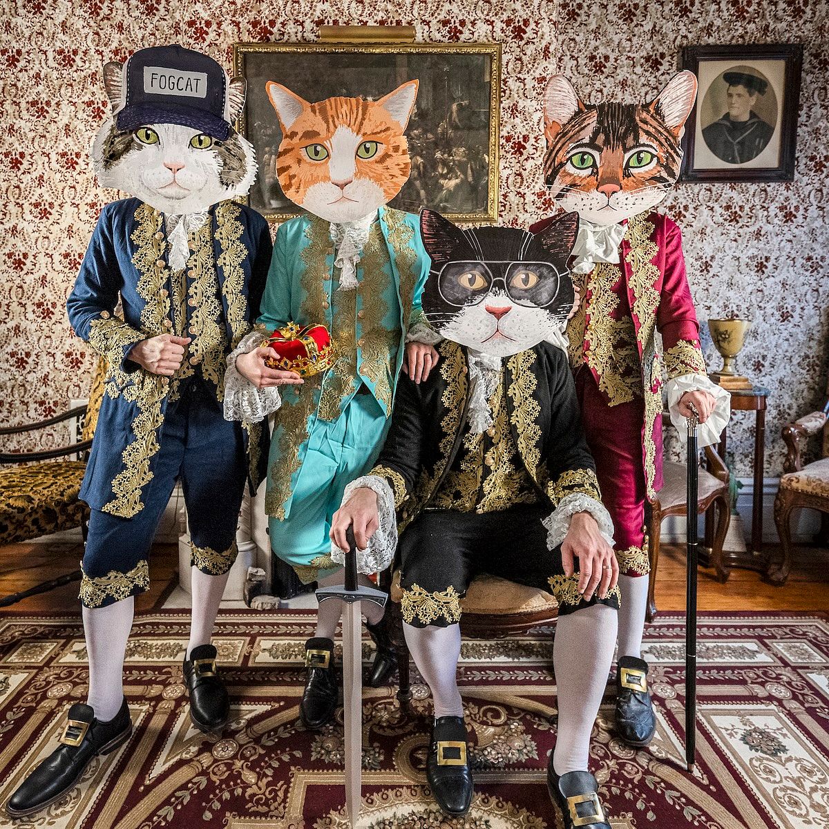 Fantastic Cat Tickets at Assembly in Kingston by Assembly | Tixr