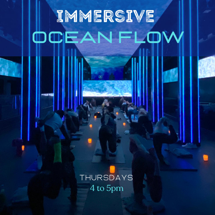 Immersive Ocean Flow Tickets at Temple Immersive SF, 540 Howard St ...